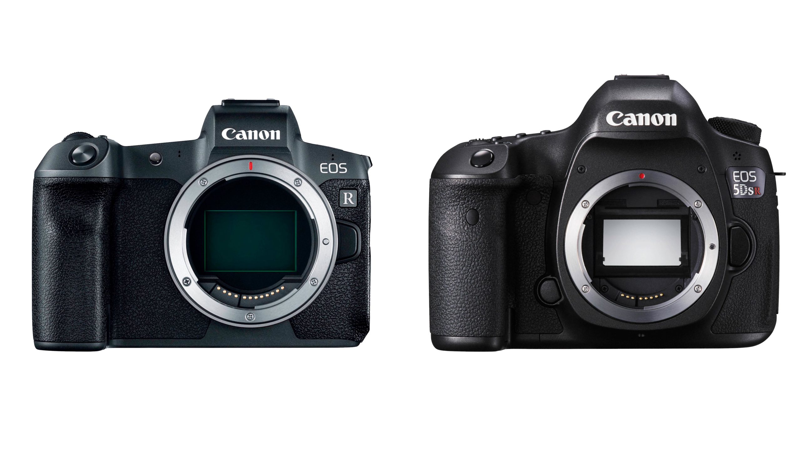 Why the Rumored 150mp Canon EOS R Camera Would Be Perfect for ...
