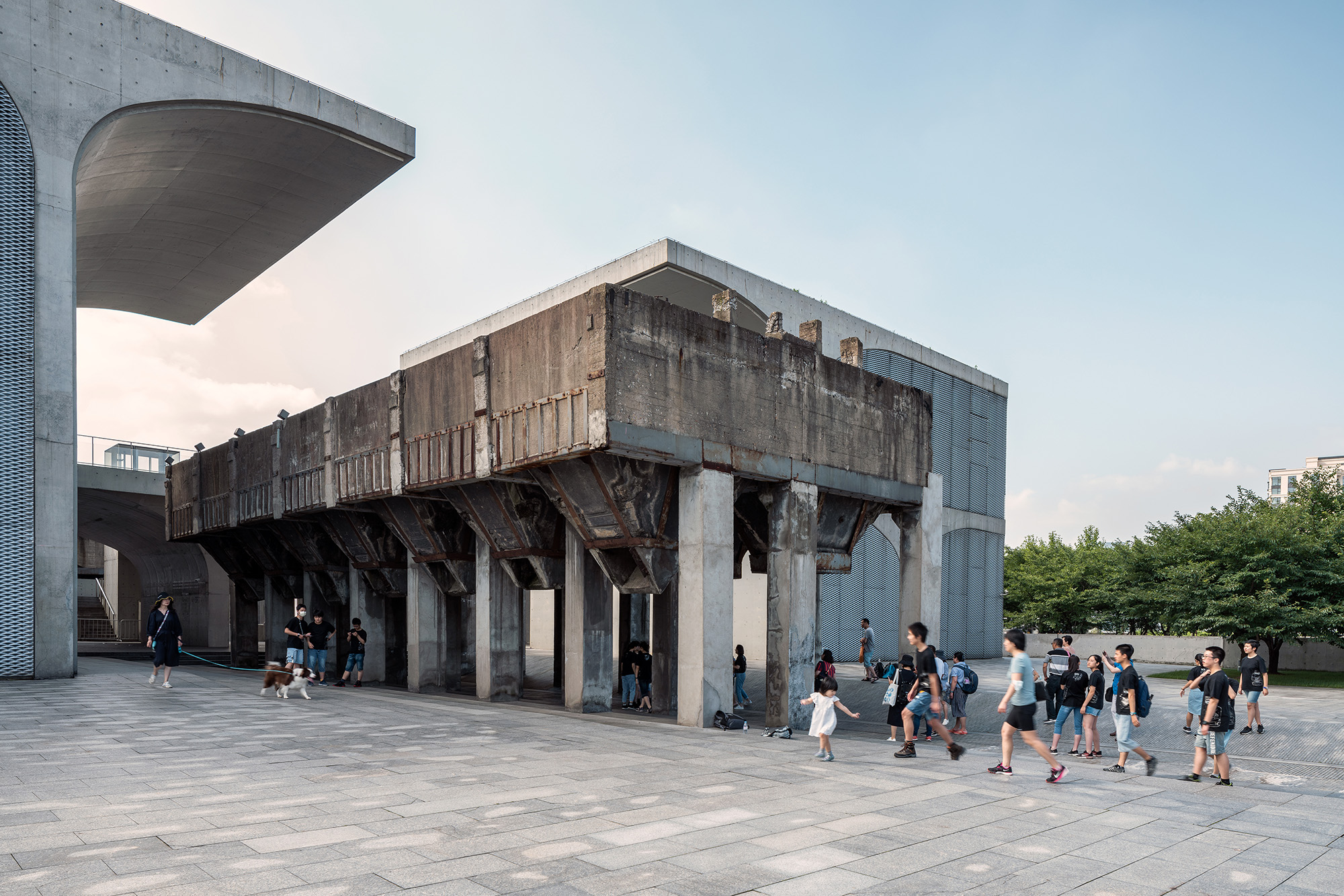 Architecture that Endures: Capturing Shanghai’s Long Museum Six Years ...
